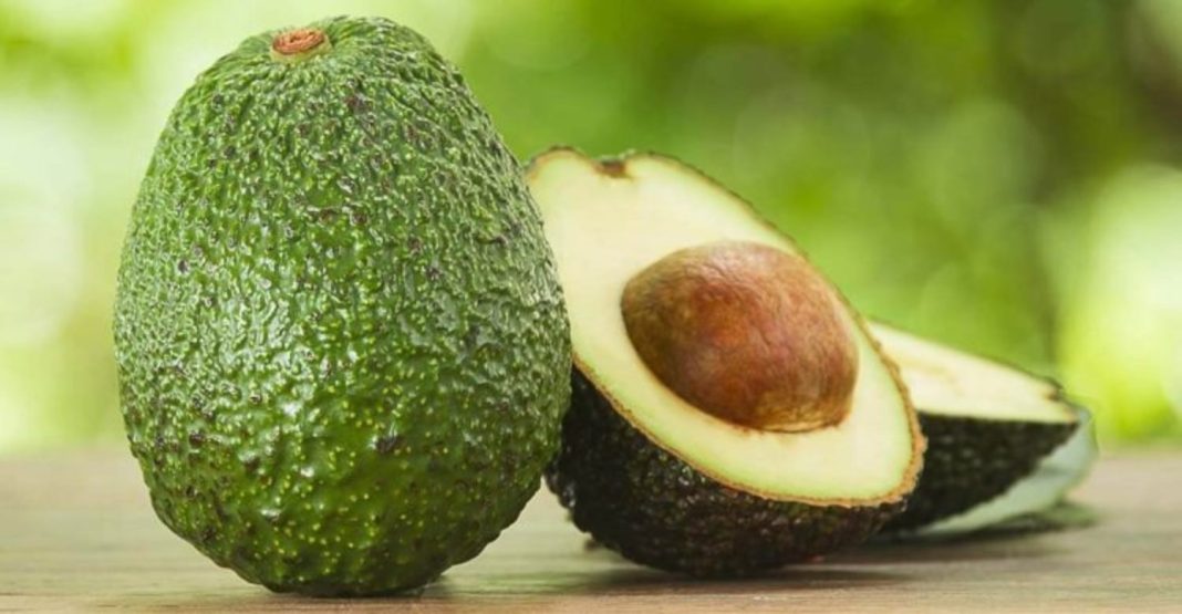 Aguacate: ¡la gran incógnita! Descubre si es fruta o verdura